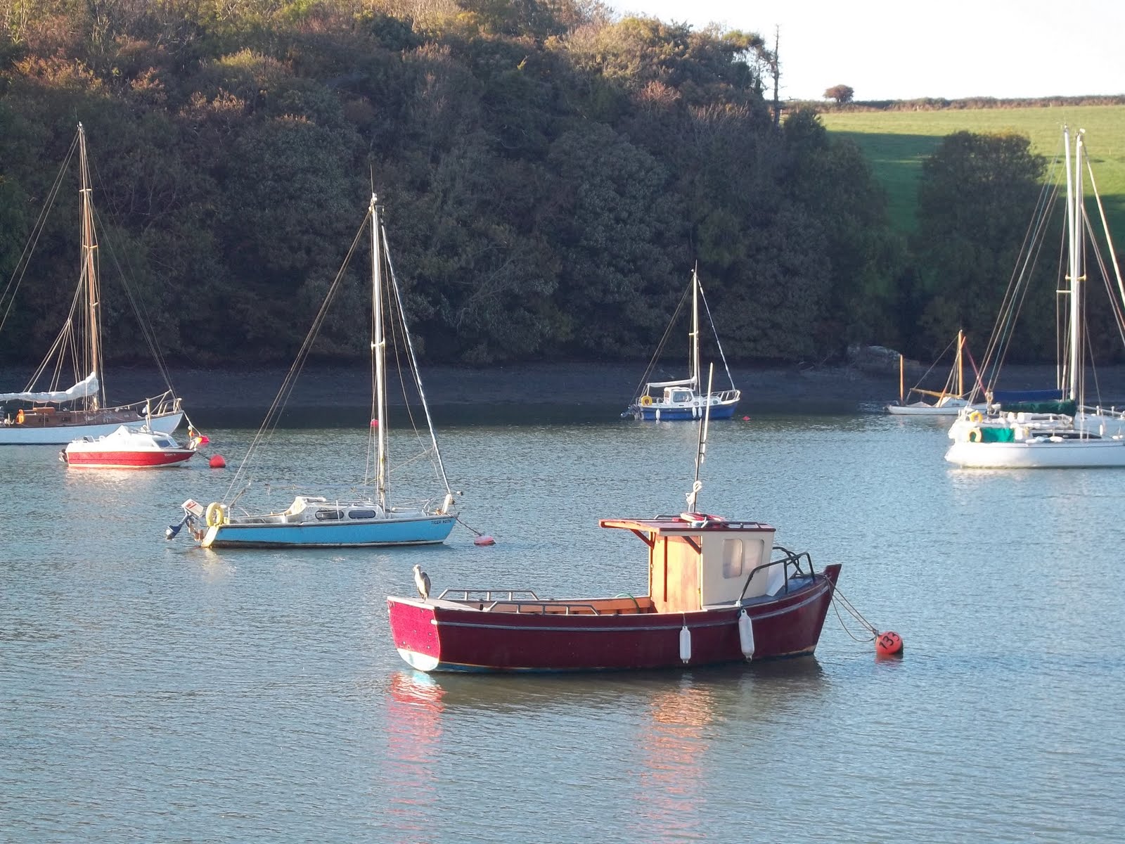 Tales from A Garden: October 2010