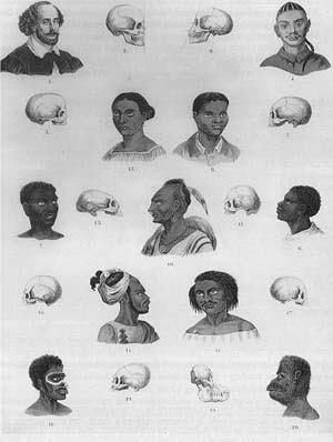 Trevor's Nanotext: Polygenism: Machines Humans and Their Same Origin