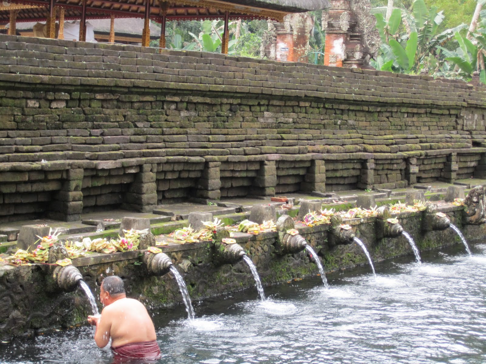A Sakura Story: Bali holy water pond and Luwak "dudu" coffee