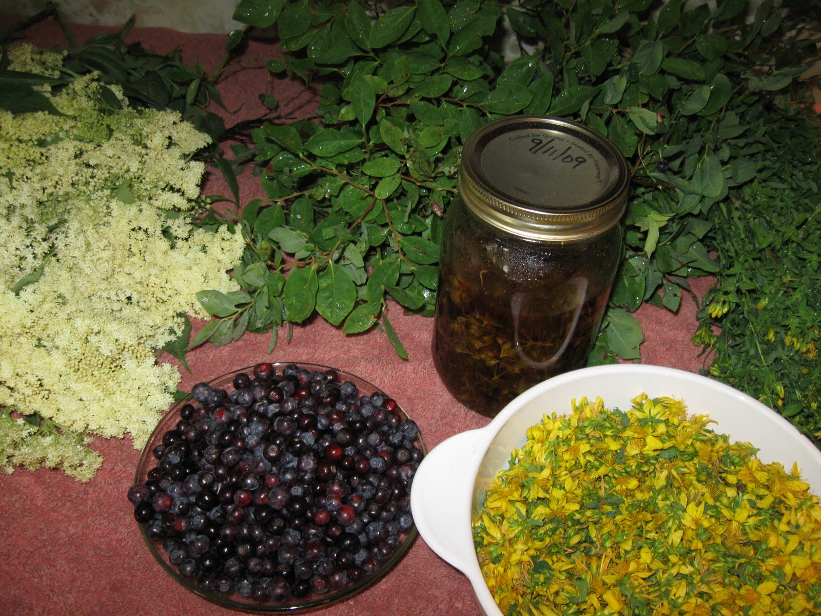 Our Subsistence Pattern: A Few Rambling Thoughts on Wild Edible Herbs ...