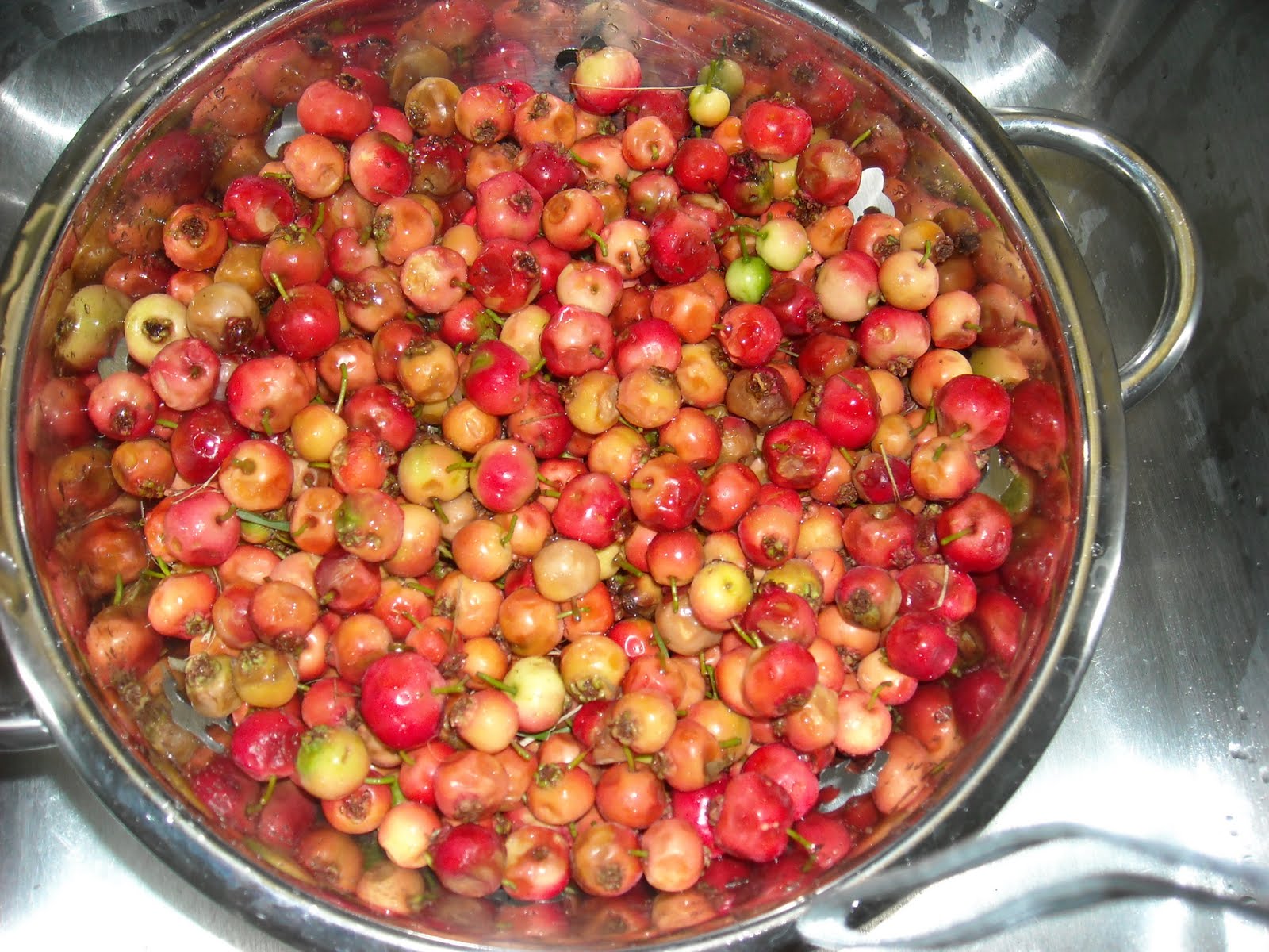 Spiffy Stitches: Mayhaw Jelly