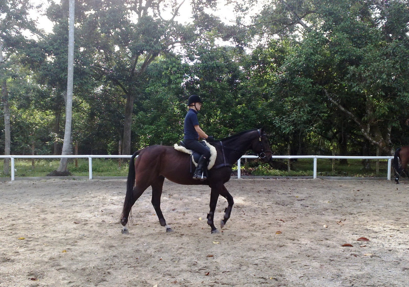 AS Equestrian Centre: Kelas Menunggang Kuda