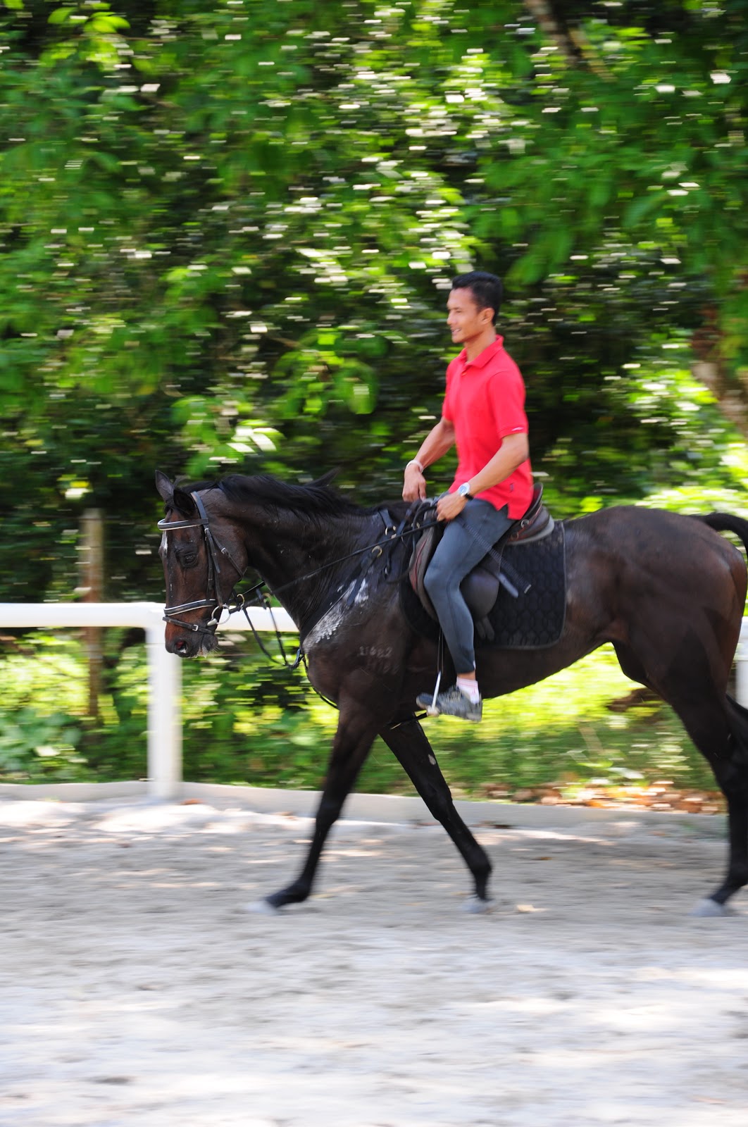 AS Equestrian Centre: Apakah keperluan seorang penunggang kuda yang baik?