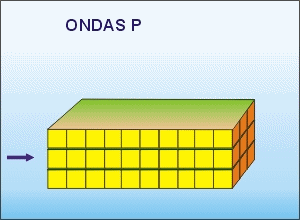 CIENCIAS DE LA TIERRA: Tipos de ondas sísmicas