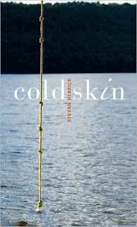 Kaitlyn in Bookland: Cold Skin by Steven Herrick Review