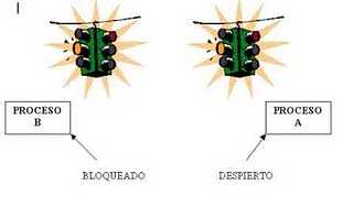 SISTEMAS OPERATIVOS I: UNIDAD II