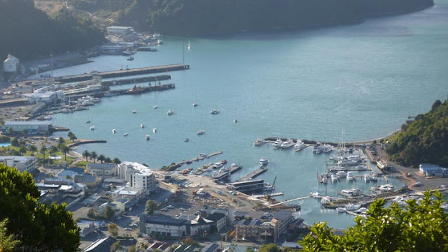 Información del ferry que une Picton y Wellington en Nueva Zelanda