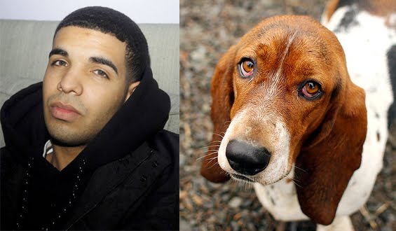 What sort of neighbours do you have? | Page 12 | Bluemoon - the leading ...