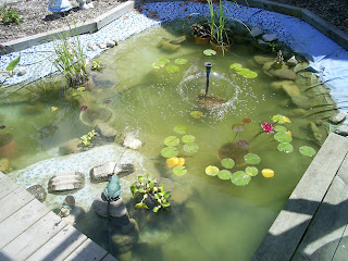 Joyce Is Crafty: Recycled Pond Project