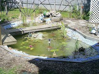 Joyce Is Crafty: Recycled Pond Project