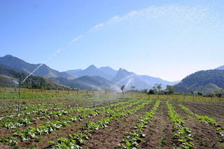 Geografia: Latifúndios