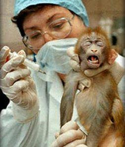 Say No To Animal Testing