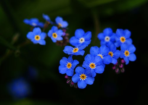 Historias Mitológicas en el Mundo