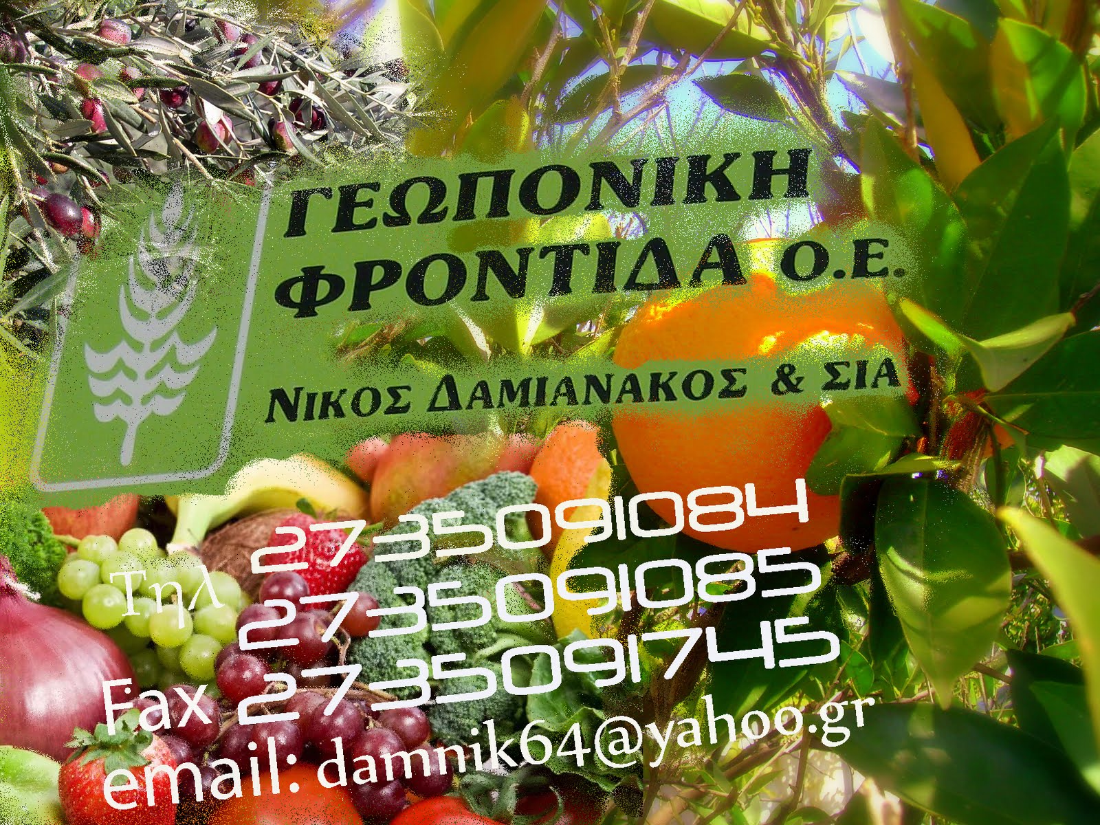 ΤΟΠΙΚΕΣ ΑΓΓΕΛΙΕΣ