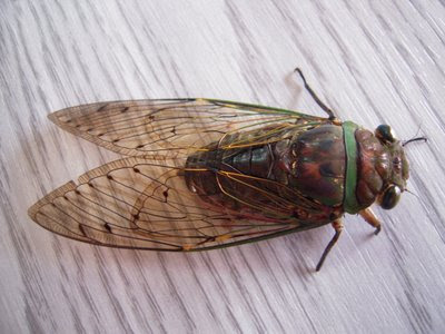 .: aku tinggalkan dirimu dengan kenangan