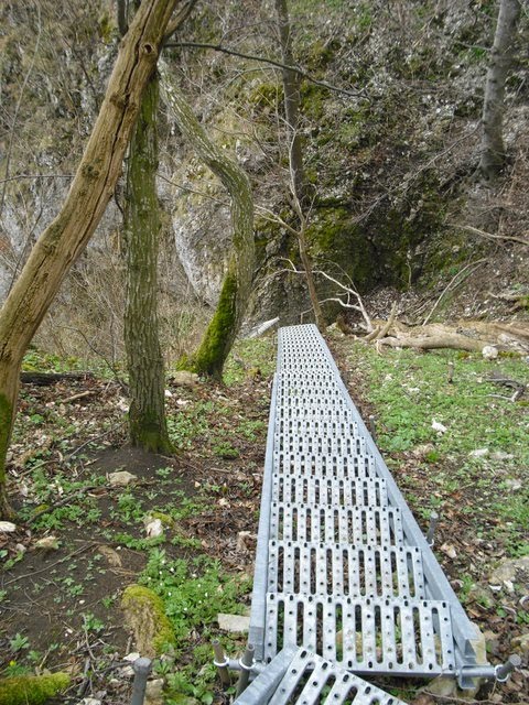 Die Schwäbische Alb und ihre Natur: Zugang zur Kesselwand (linker Teil ...