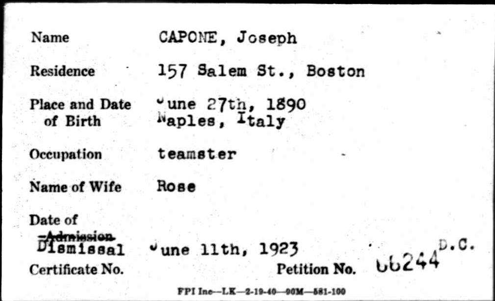 The Genealogy of Torre le Nocelle, Italy: Petition For Naturalization ...