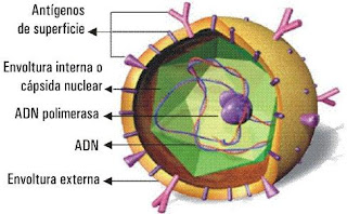 Instituto de Estudios Complementarios: VIRUS, VIROIDES Y PRIONES