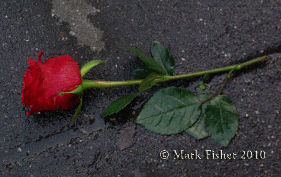 PHOTOGRAPHER MARK FISHER IMAGES: Legendary American Photographer Mark ...