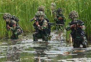 gambar TNI Indonesia: Gambar TNI Indonesia