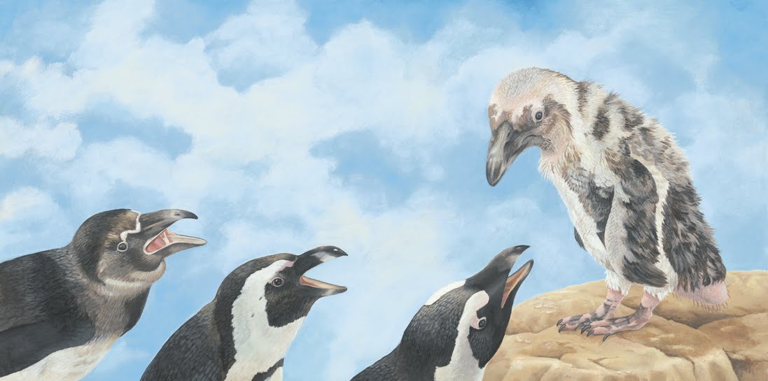 Great Kid Books: Pierre the Penguin, by Jean Marzollo and Laura Regan ...