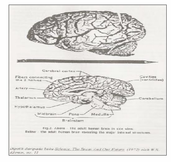BIMBINGAN DAN KAUNSELING: KEMAHIRAN BERFIKIR