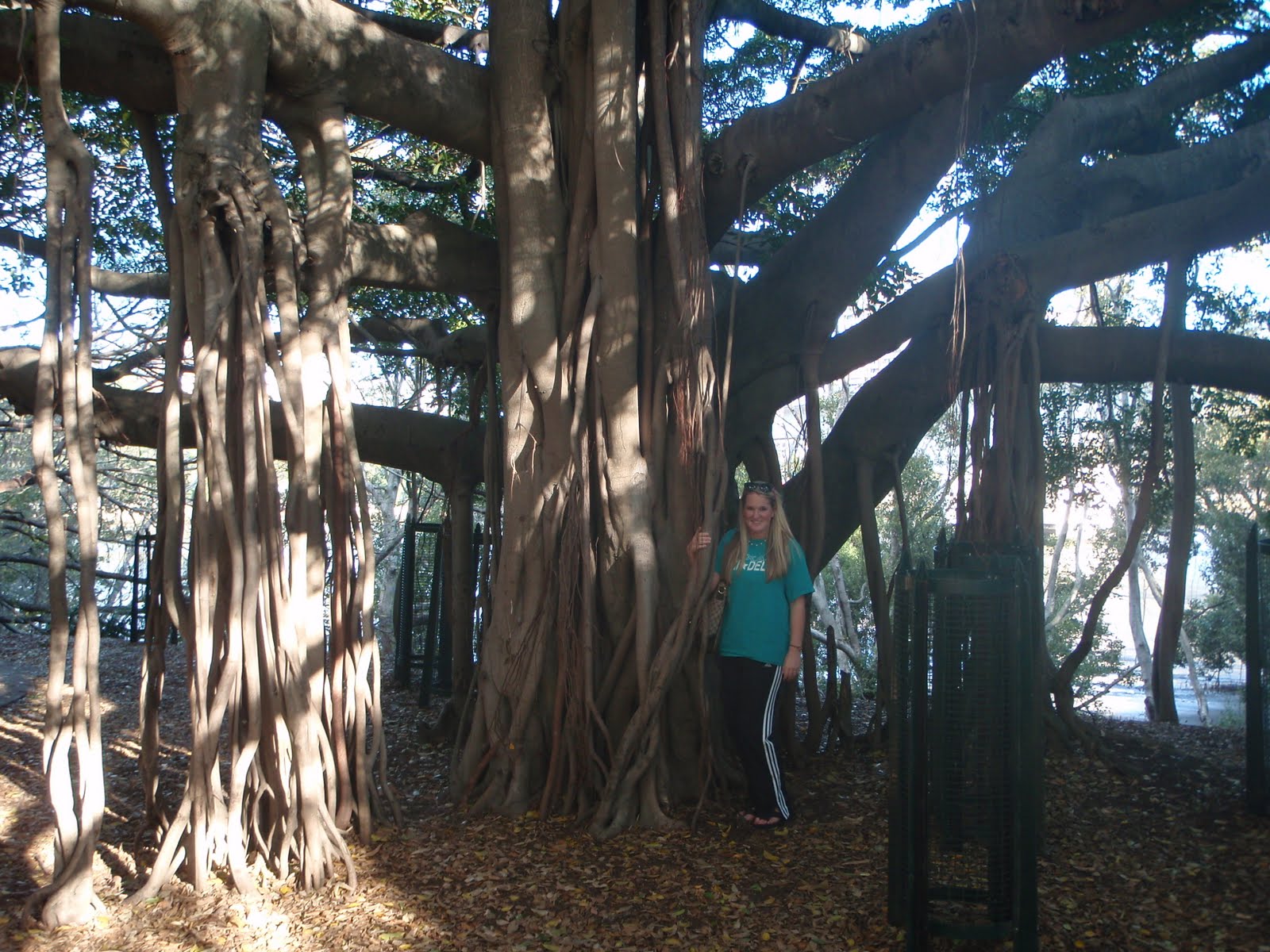 Uniquely Australian: Brisbane ("Brissy")