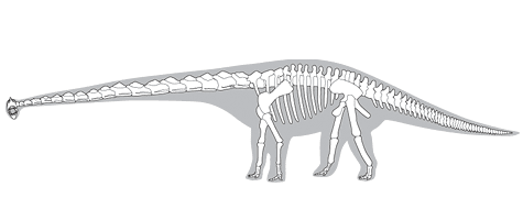 nost: Mamenchisaurus hochuanensis — a long-necked sauropod