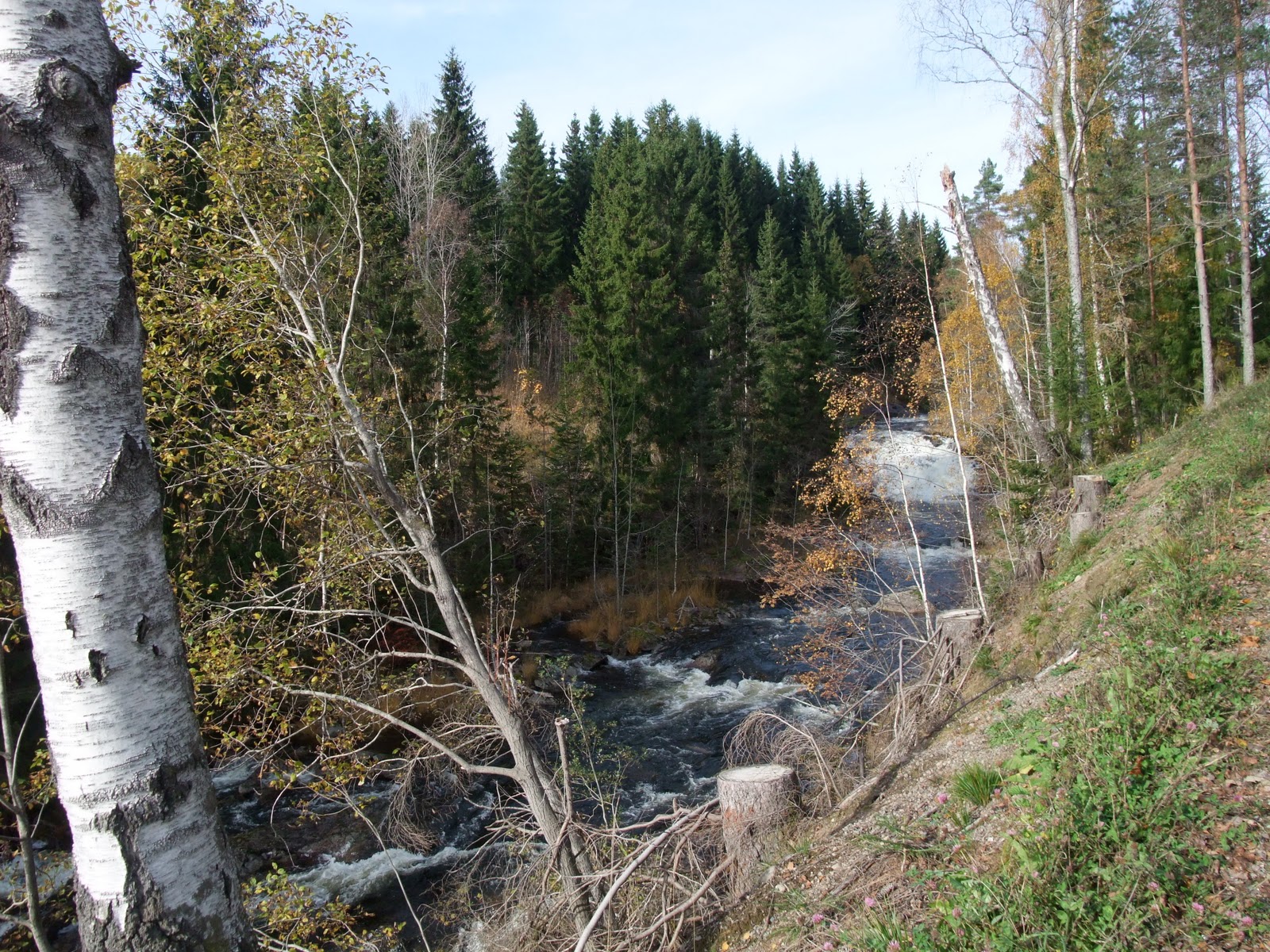 A New Yorker in Oslo: Nordmarka