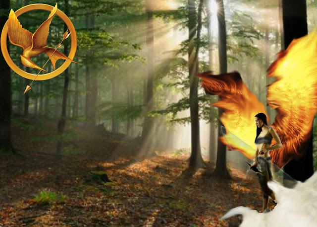 Tear It Down: Flag, Meet Mockingjay. Mockingjay, Meet Flag.