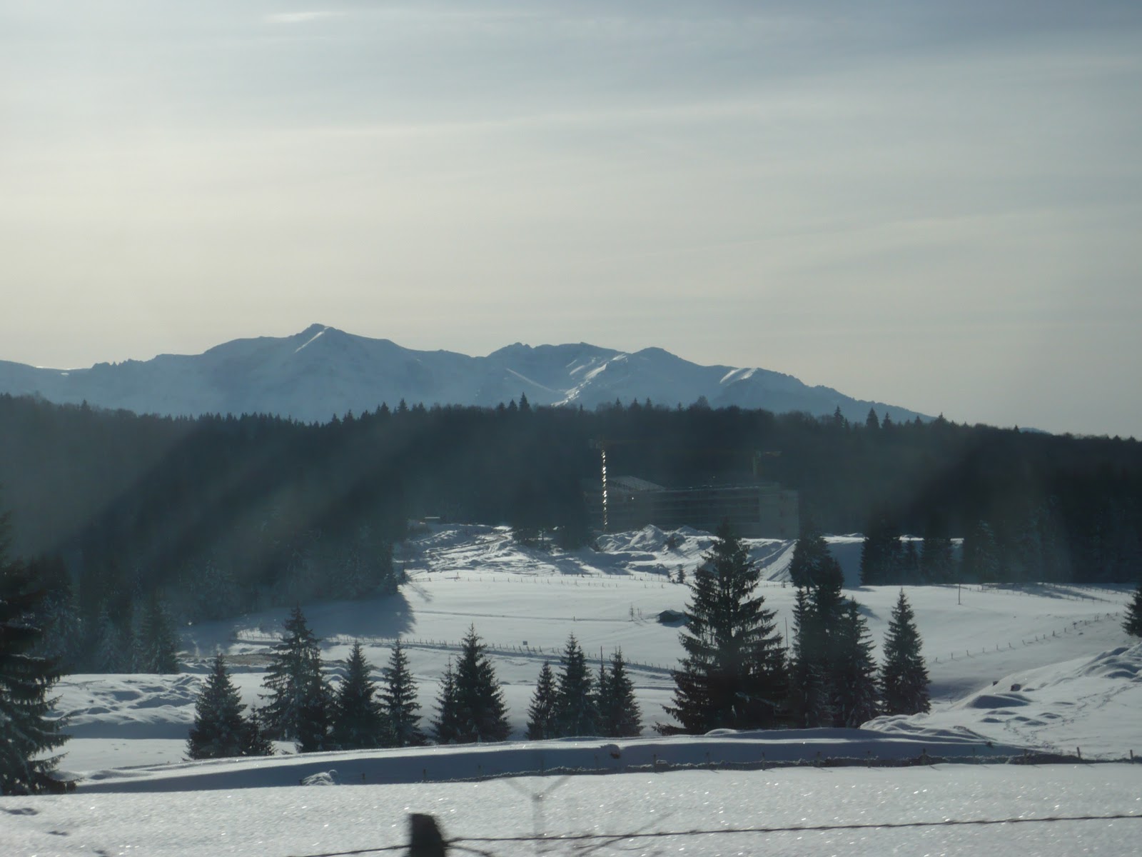 muntii carpati: Poze de la Poiana Brasov