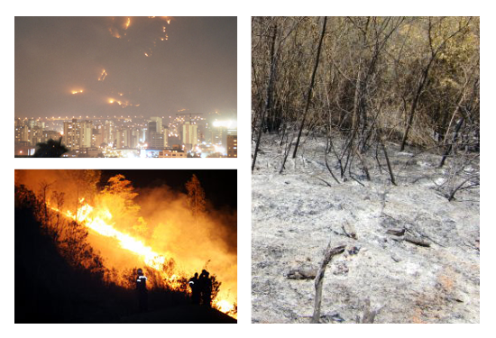 Solo huellas: Ecosistemas destruidos por negligencia humana