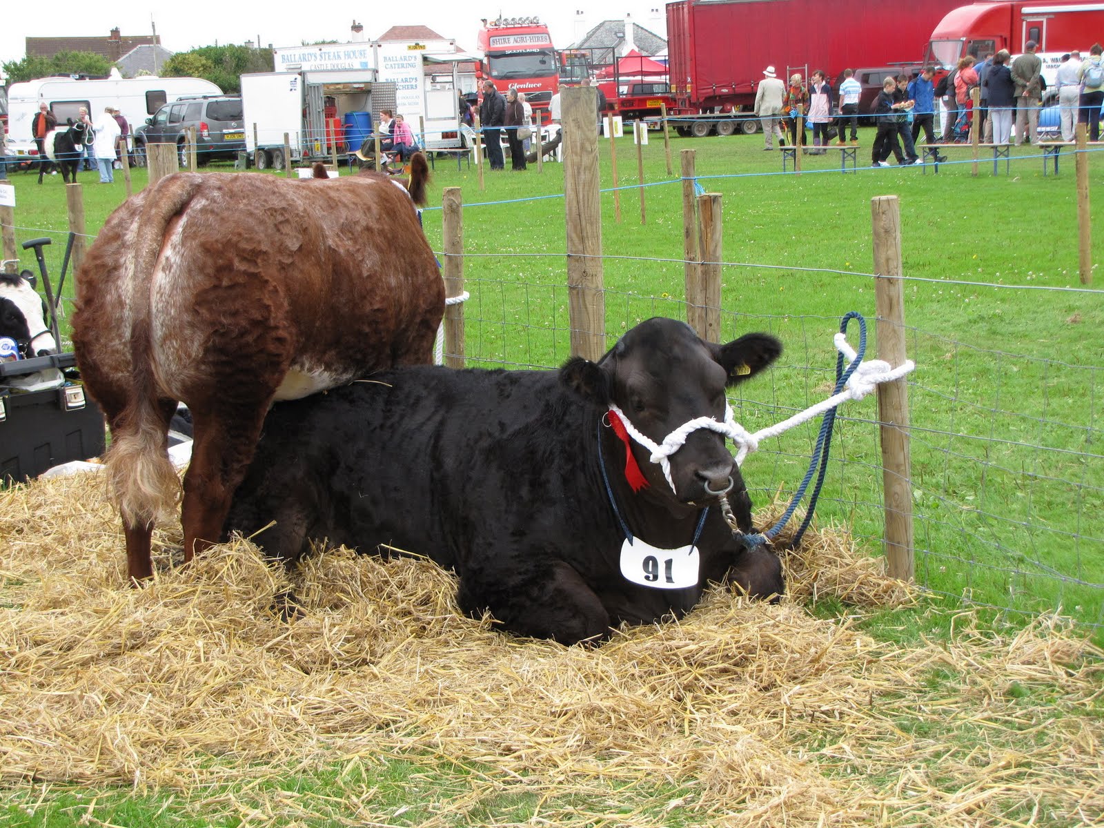 The Glebe Blog: 07/2010