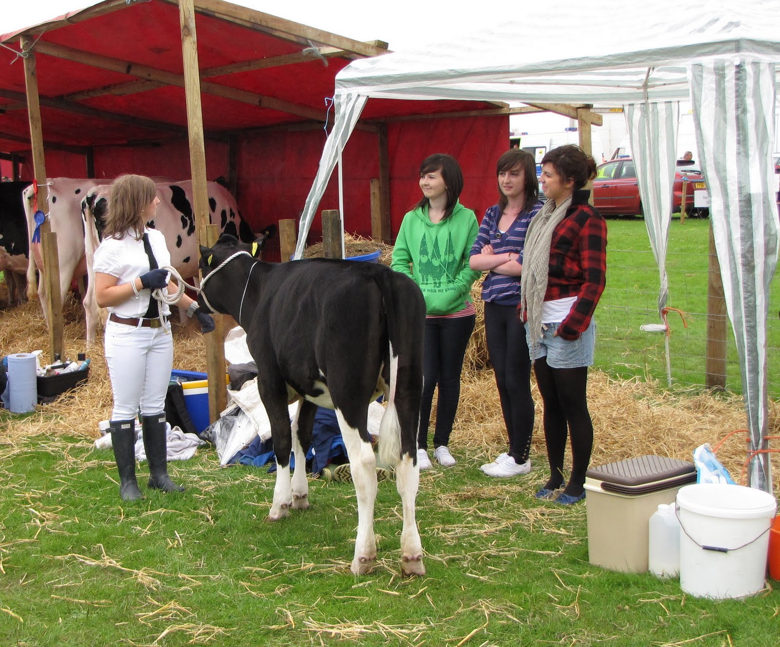 The Glebe Blog: Stranraer Show Pictures 2010