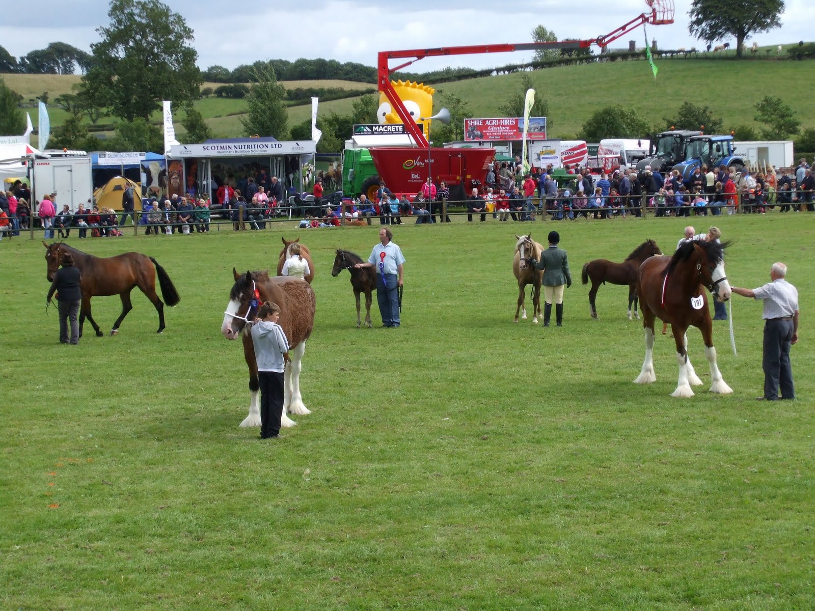 The Glebe Blog: Wigtown Show 2010 Pictures