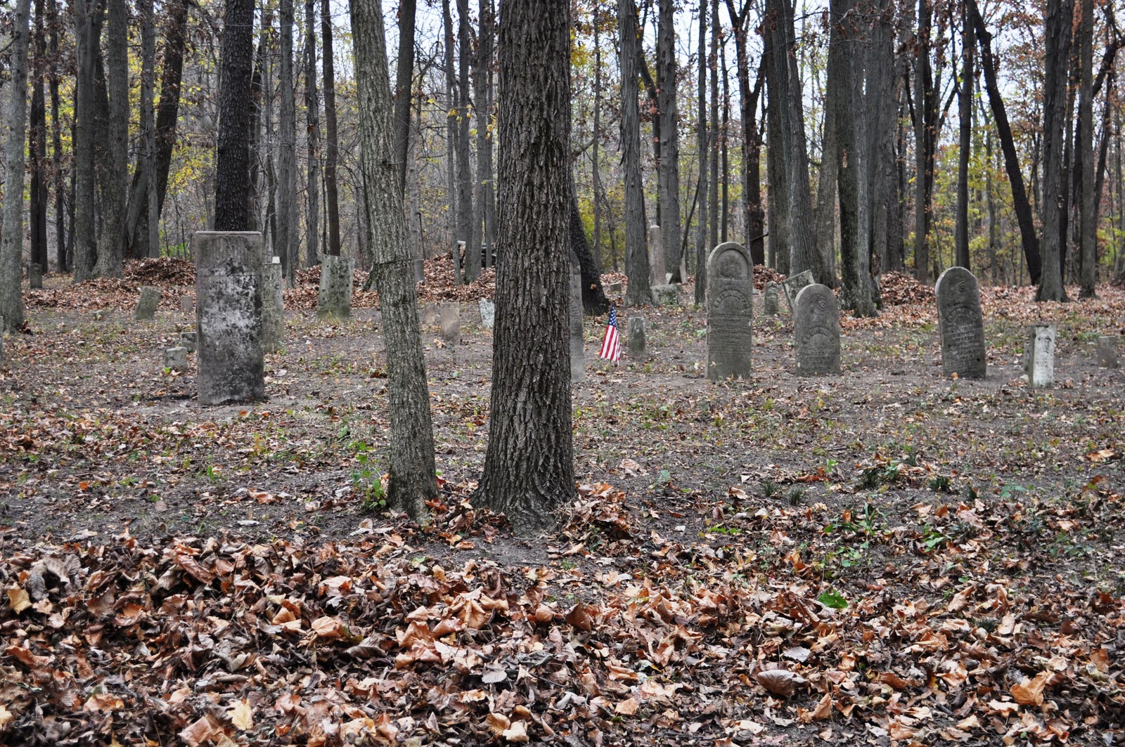 The Faces Of My Family: November 2010