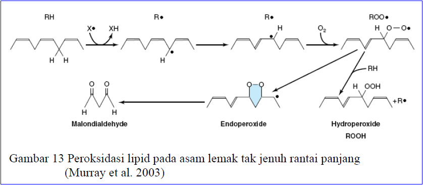 Uji Peroksida Lipid Dalam Cairan Biologis