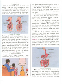 ACE Pace Samples: ACE Pace sample - Grade 7 Science