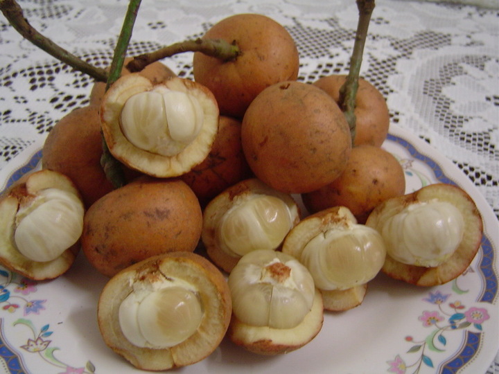 mY aRMaNiZaN mONoLOgUe: Buah Tampoi @ Buah Ngeke..