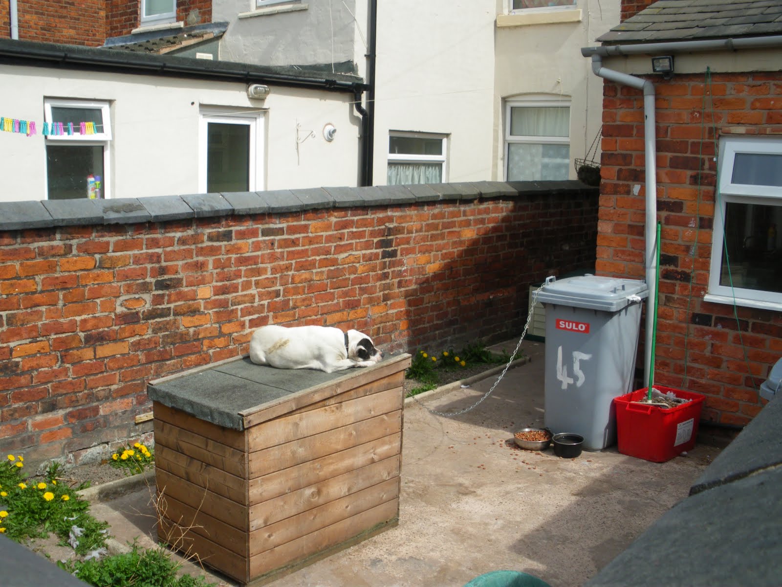 Crewe News: April 2010