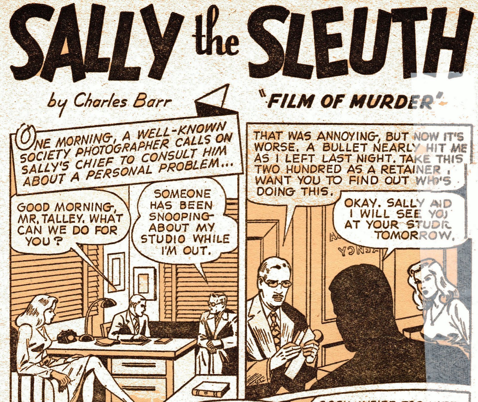 HIL-GLE Wonderblog: Sally the Sleuth Returns