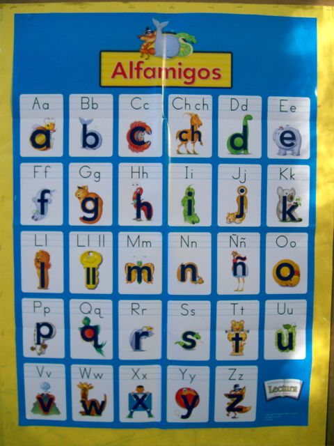 SALON 14 KINDER: A, B, C, Ch, D