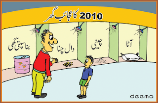 Urdu Cartoons: Pakistan Museum 2010