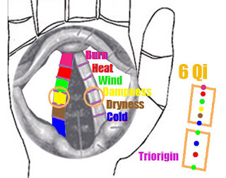 Acupuncture for singers and musicians: Emotional healing on vocal cords ...