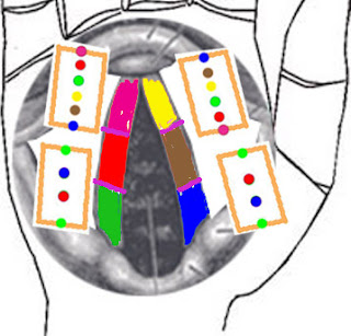 Acupuncture for singers and musicians: Emotional healing on vocal cords ...