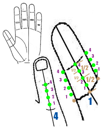 Su-jok acupuncture methods and treatment (Su-jok medicine blog ...