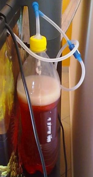 ACQUATICOS: CO2 CASEIRO