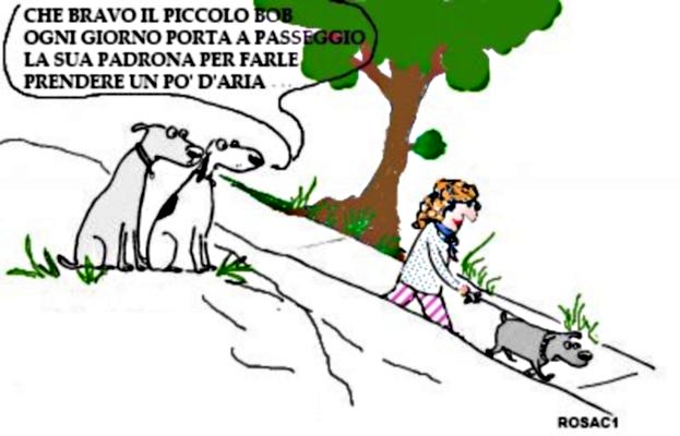 LA VERITA' E' CORAGGIO: HUMOR- VIGNETTA CANI