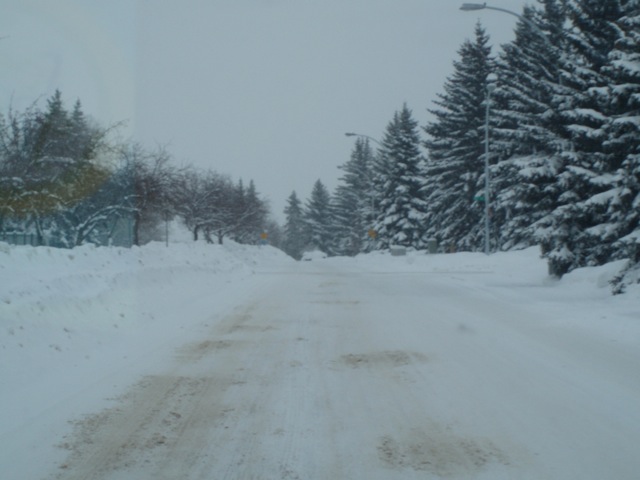 The Phenomenal Field