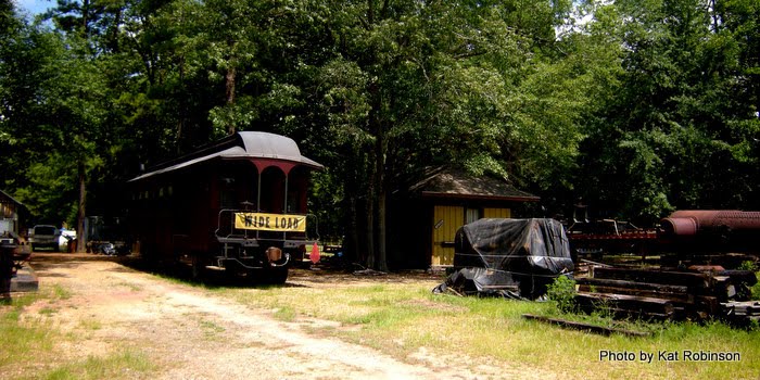 Tie Dye Travels with Kat Robinson - Author, Arkansas Food Historian, TV ...